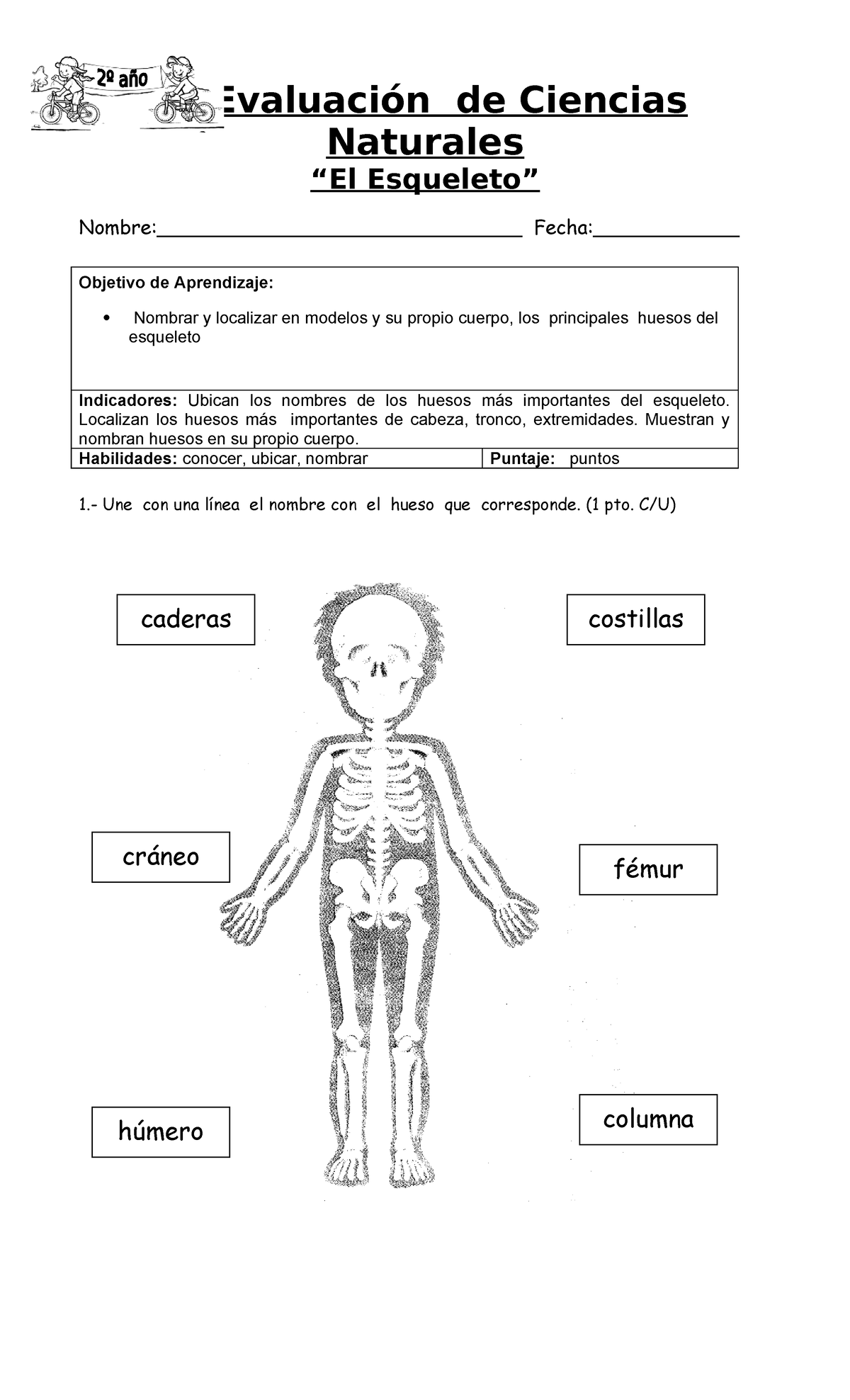 Evaluación de Ciencias Naturales: Huesos del Esqueleto y Cuerpo Humano ...
