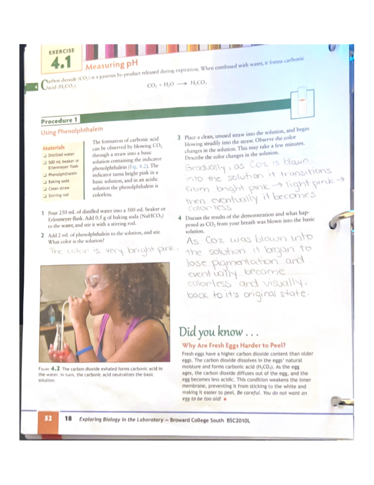 Understanding Acids, Bases, and pH Concepts in Chemistry - Studocu