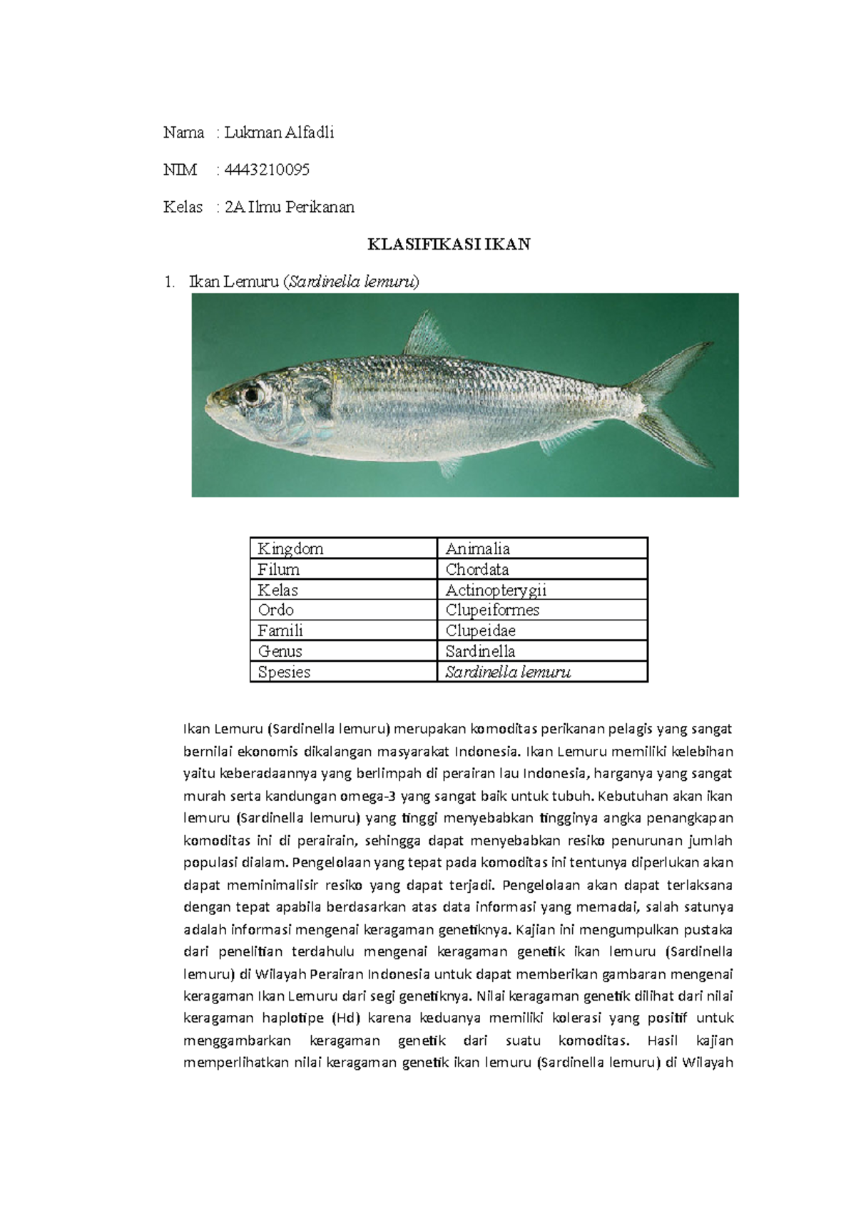 Klasifikasi Ikan Lemuru, Hiu Martil, dan Ikan Sebelah (Ilmu Perikanan ...