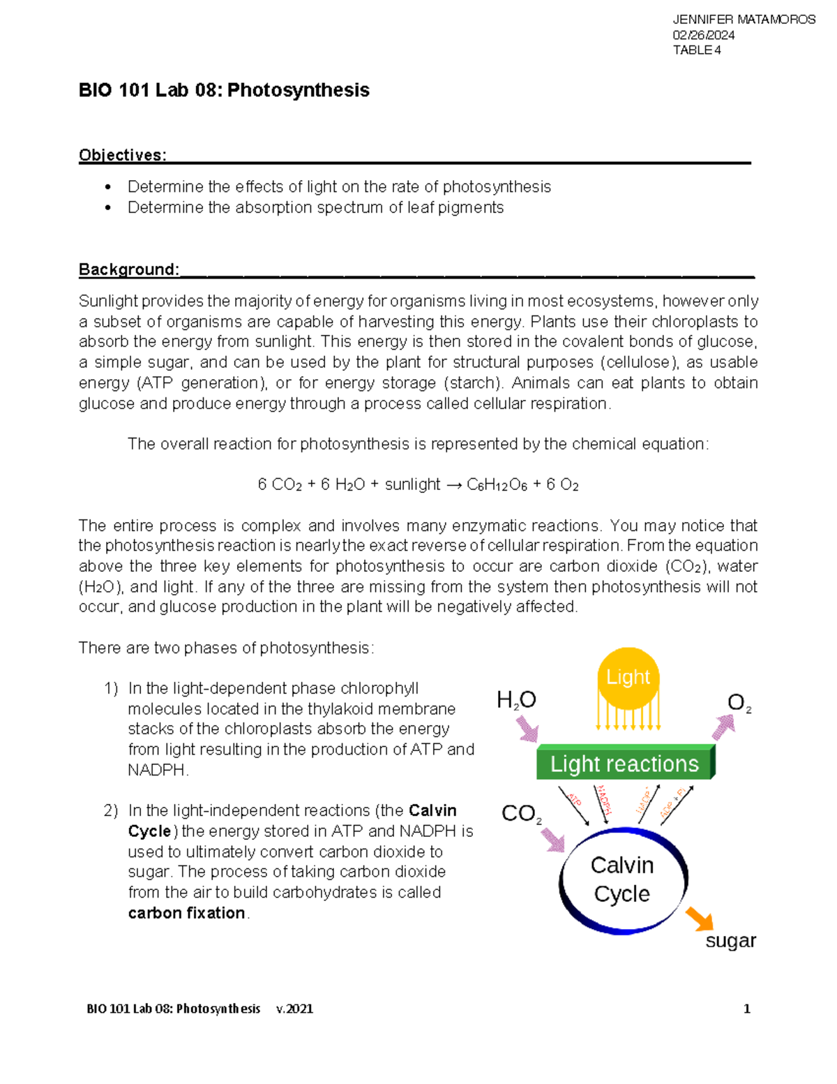 BIO101 Lab 08 Worksheet: Photosynthesis Analysis - Spring 2022 - Studocu