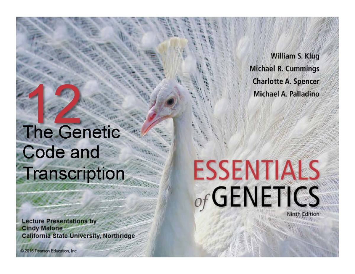 Understanding Gene Expression: The Genetic Code & Transcription (BIO101 ...
