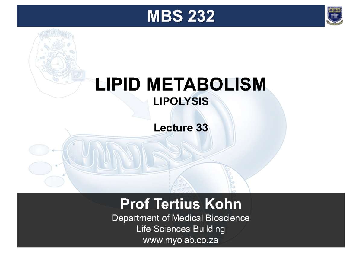 MBS 232 Lecture 33: Overview of Lipid Metabolism & Lipolysis - Studocu