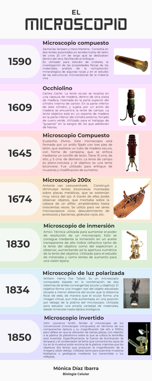 Triptico (Dermatitis del pañal ) - C a m b i e l o s p a ñ a l e s s u c i o s o h ú m e d o s t ...