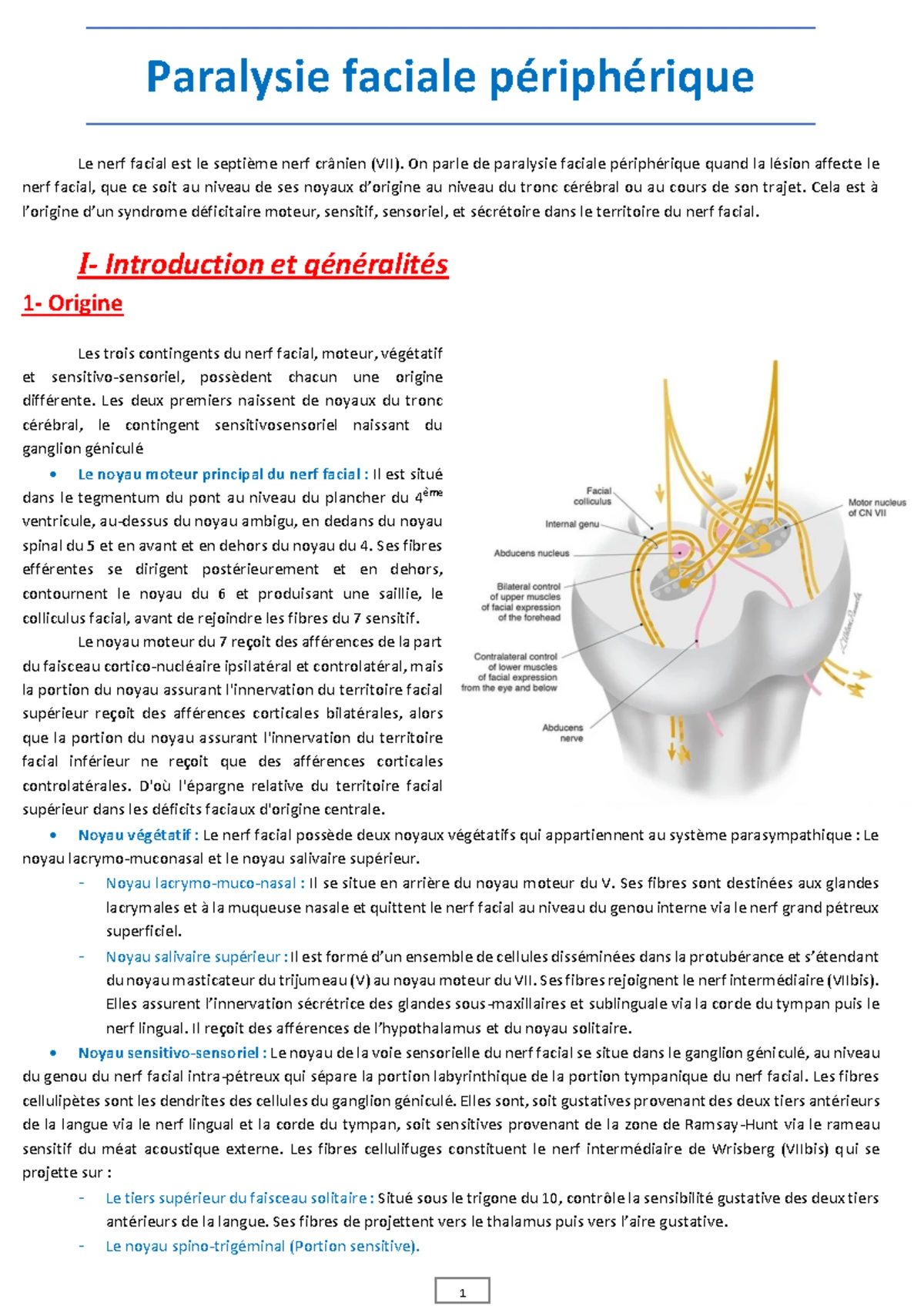 Anatomie du pharynx et de la cavité buccale en ORL - Anatomie du ...
