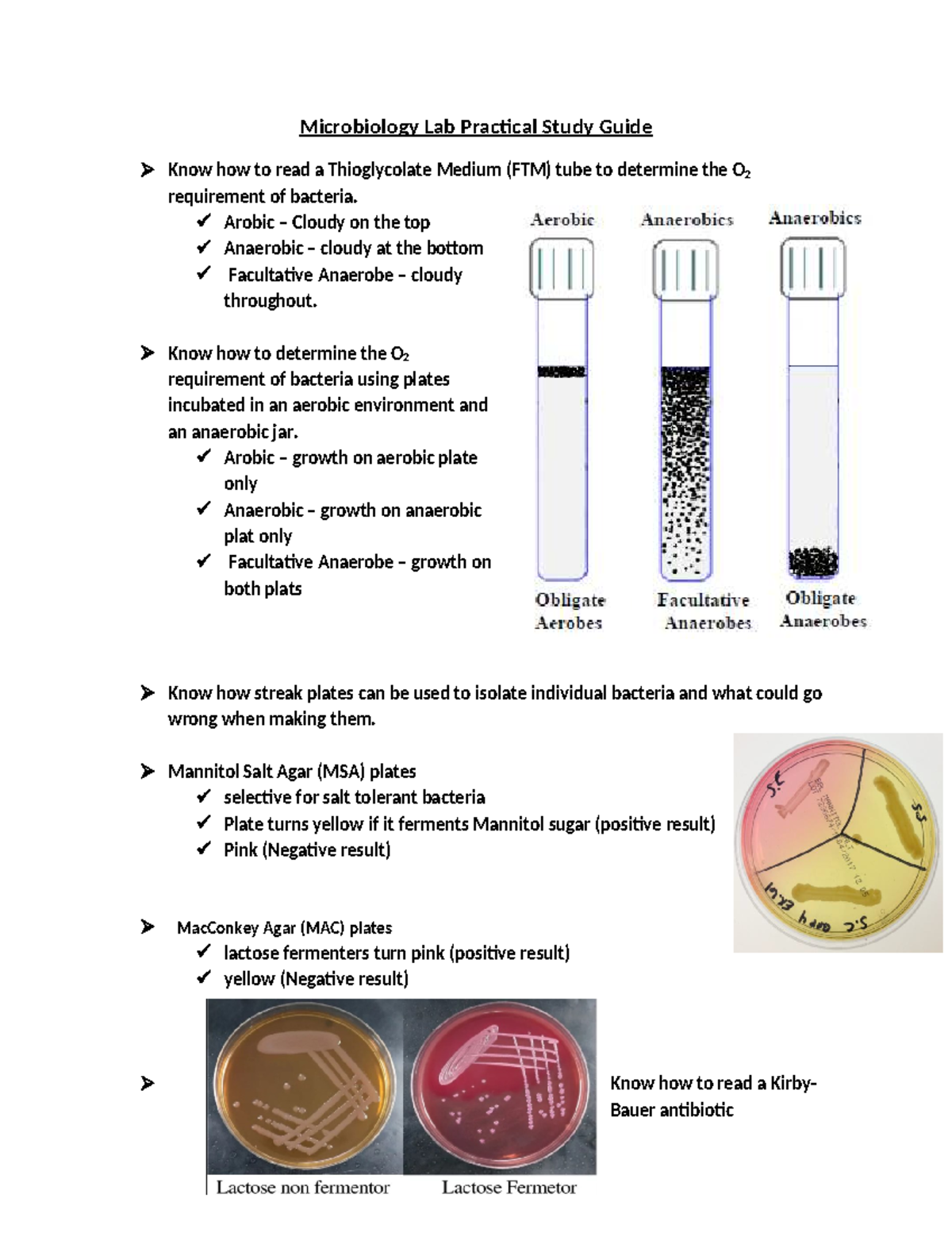 Microbiology+Lab+Practical+Study+Guide - Microbiology Lab Practical Study Guide Know how to read ...