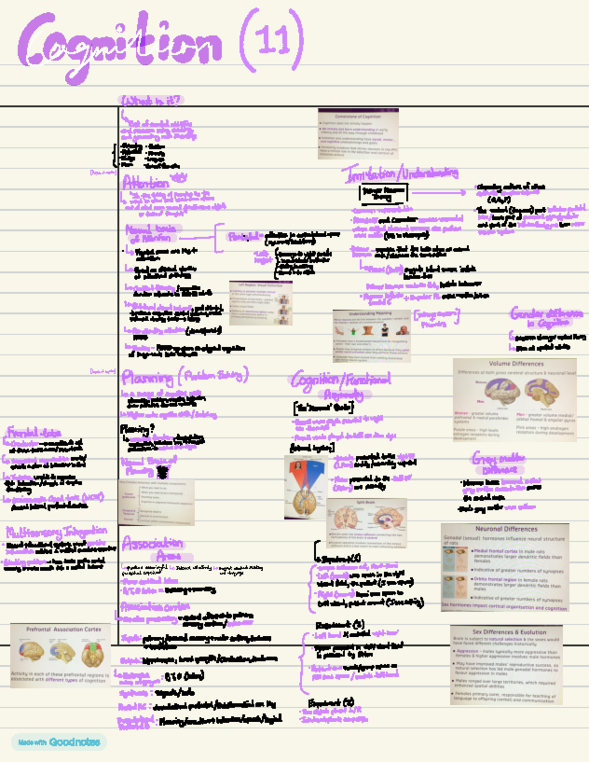 Brain and Behaviour - Module 1: Cognition Overview and Key Concepts ...