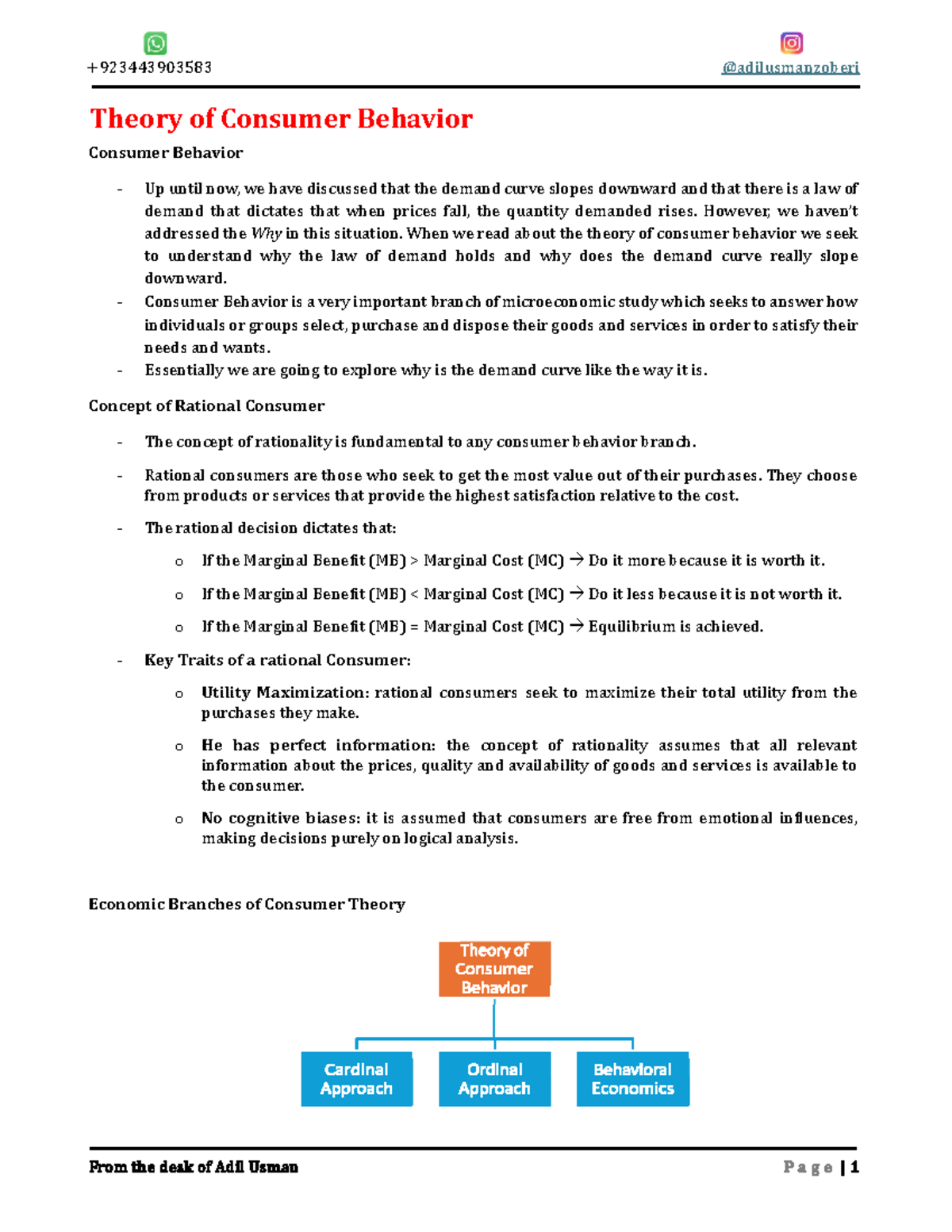 Theory of Consumer Behavior: Understanding Demand Curves and Utility ...