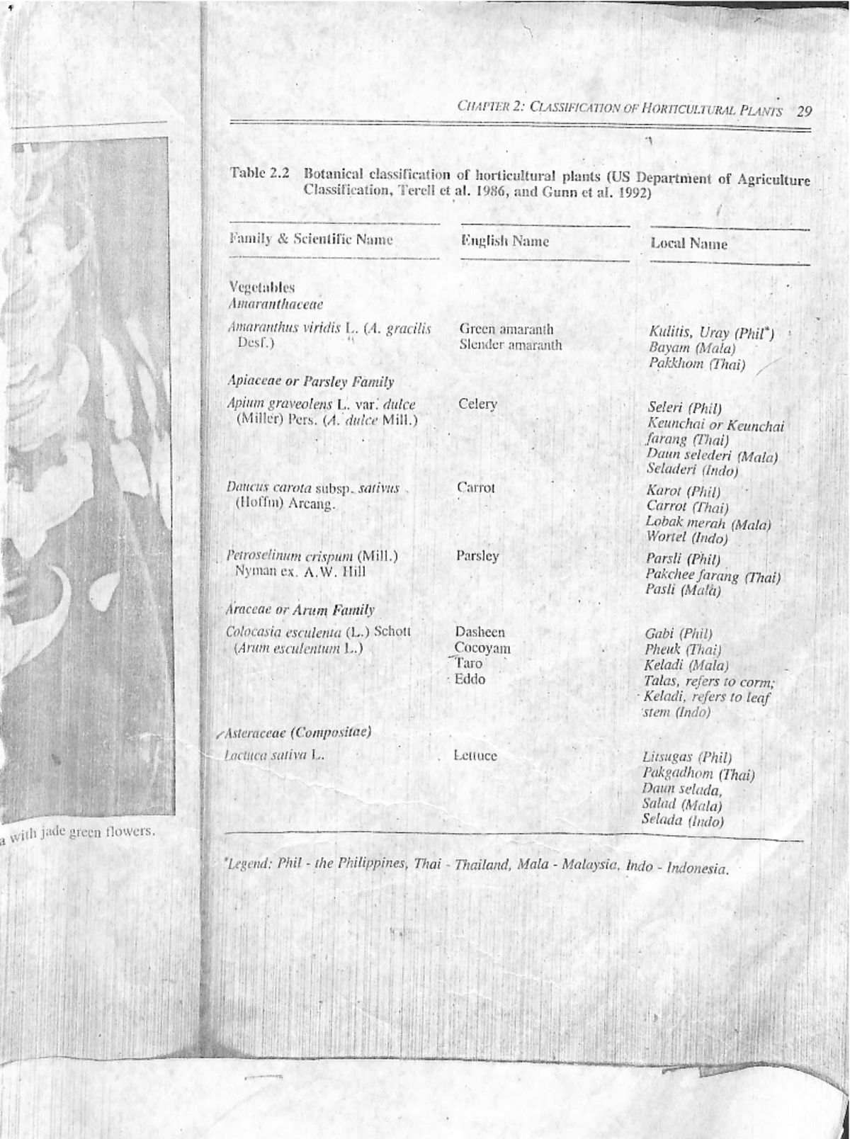 Botanical Classification of Horticultural Plants - 1986, and Gunn et al ...