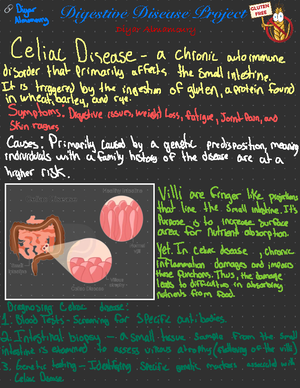 Anatomy-and-physiology notes - 1. Know the gross organization of the ...