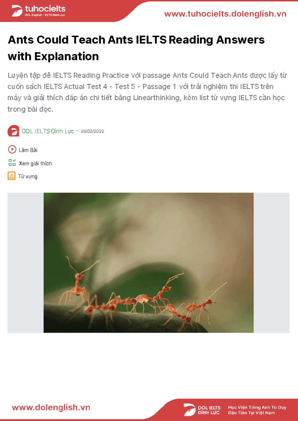 Ants Could Teach Ants - reading - - Studocu