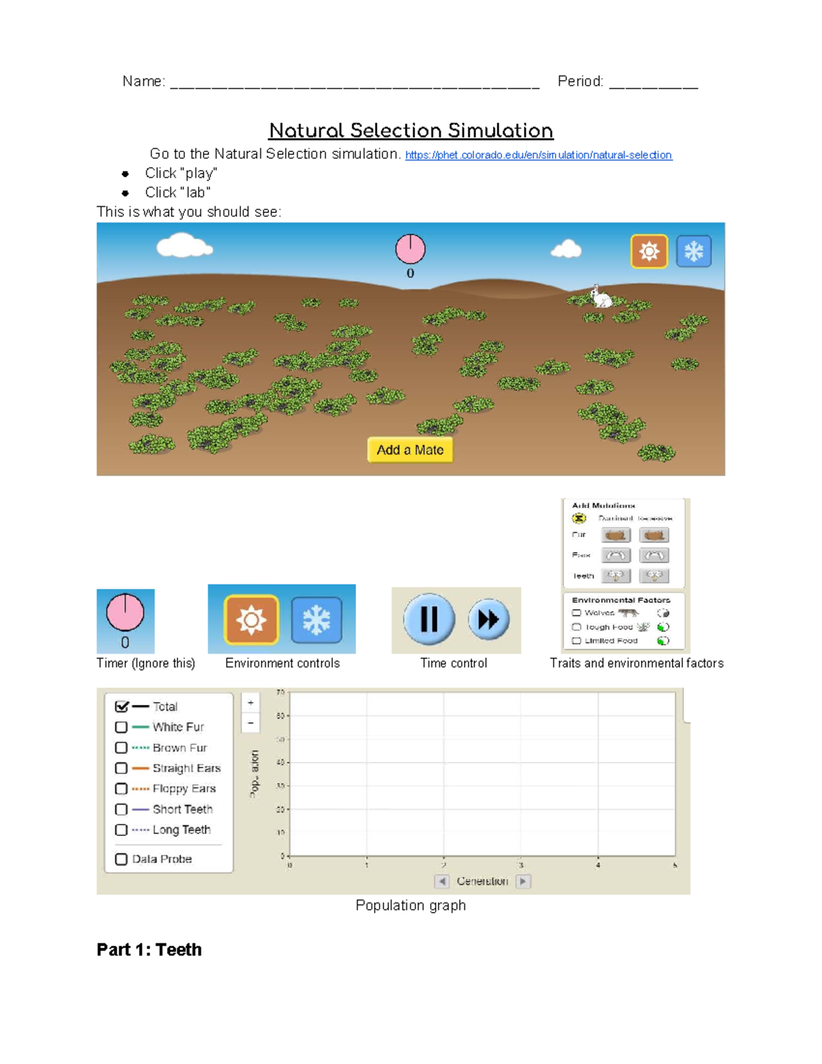 Natural Selection Simulation: Insights from PHET Lab Analysis - Studocu