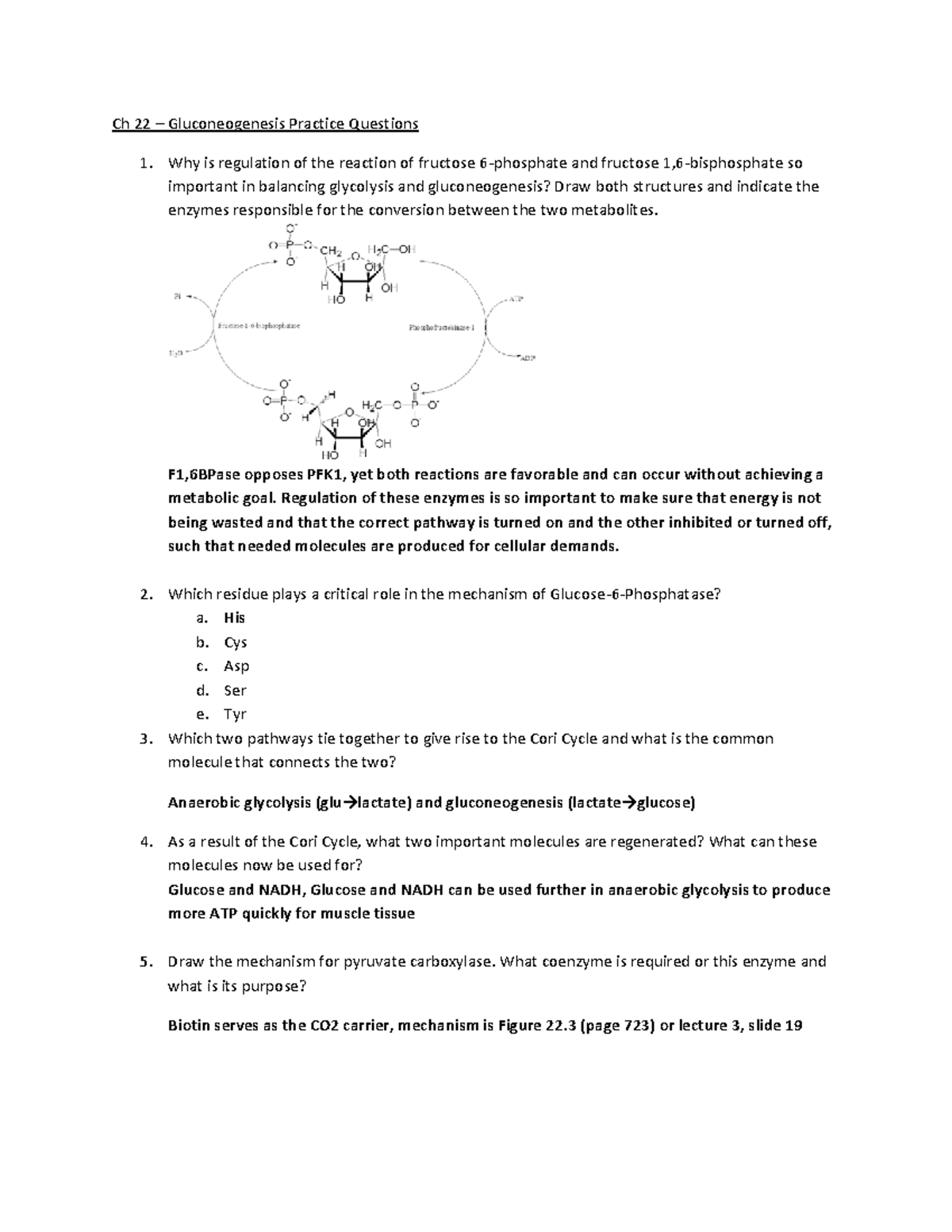 GNG and PPP Practice Questions KEY - Ch 22 – Gluconeogenesis Practice ...