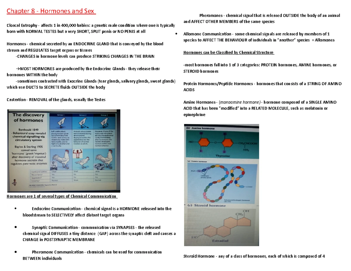 Neuroanatomy - Parts of the nervous system, the cranial nerves ...