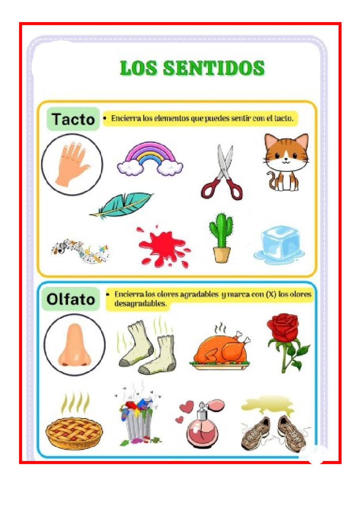 Ficha 2 Sentidos - ciencia y tecnología - LOS SENTIDOS Tacto Encierra ...