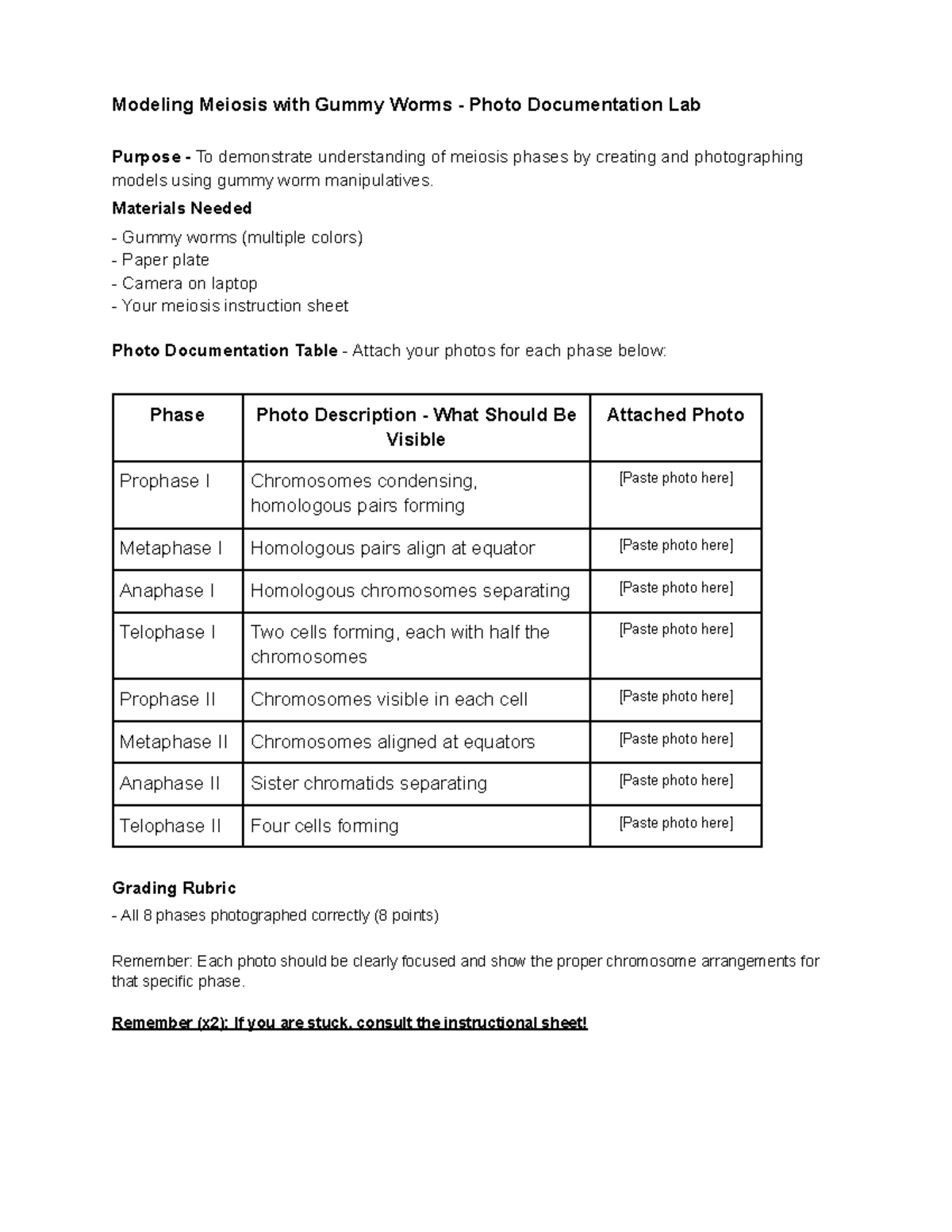 Modeling Meiosis with Gummy Worms (Honors Lab Photo Documentation ...