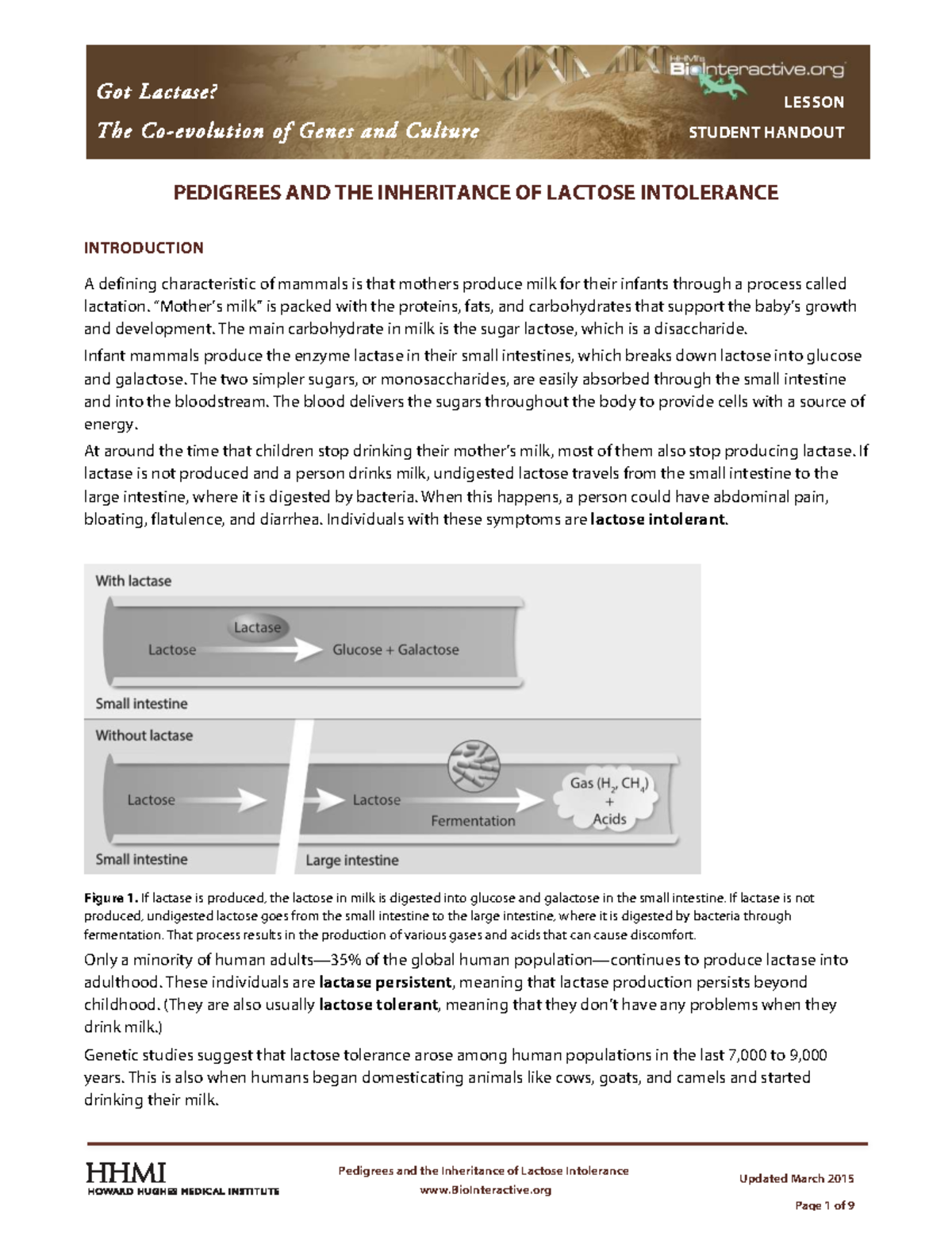 Got Lactase? Lesson on Genes, Culture, and Lactose Intolerance - Studocu