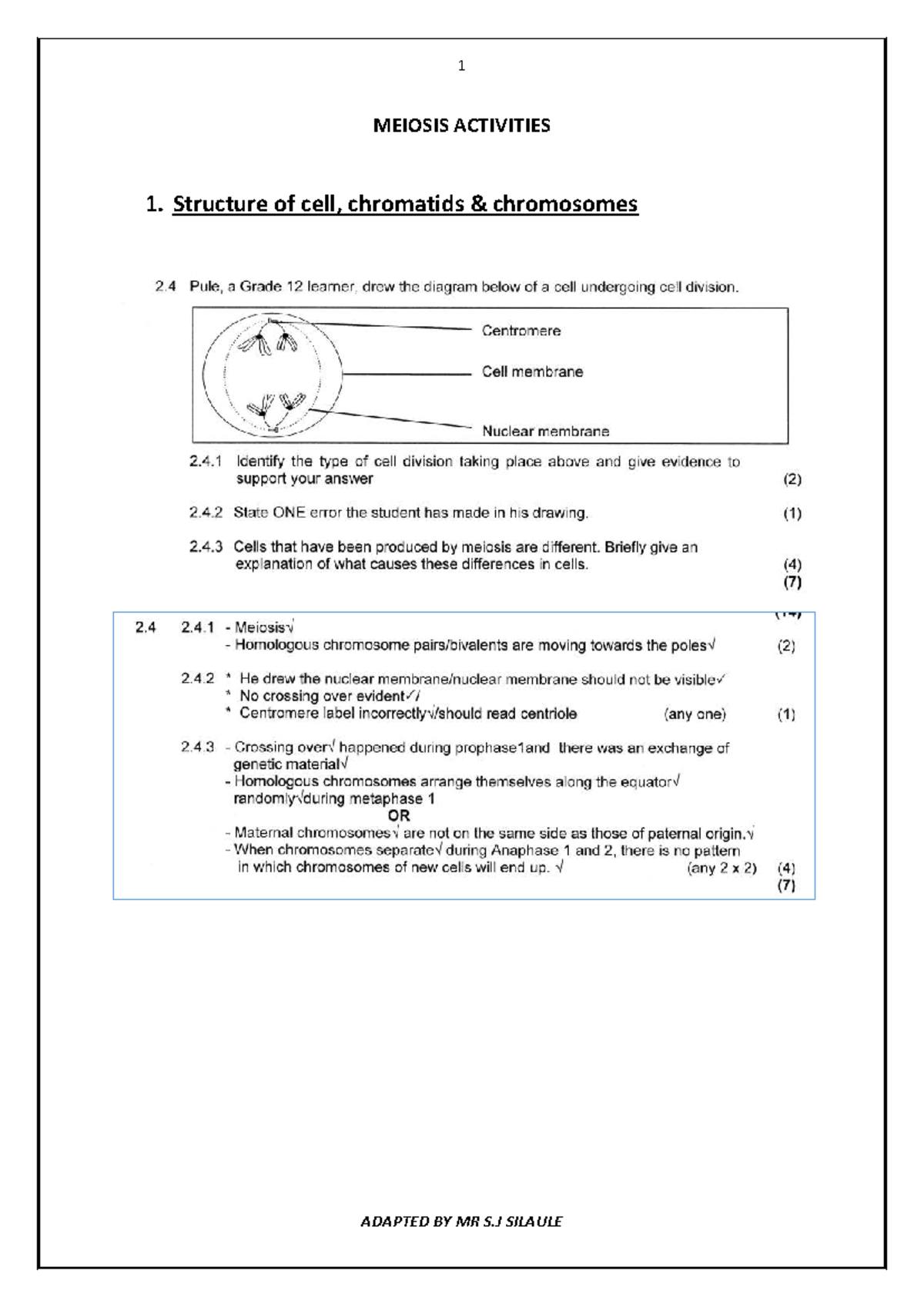 Meiosis Activities: Structure, Process, and Karyotype Review - Studocu
