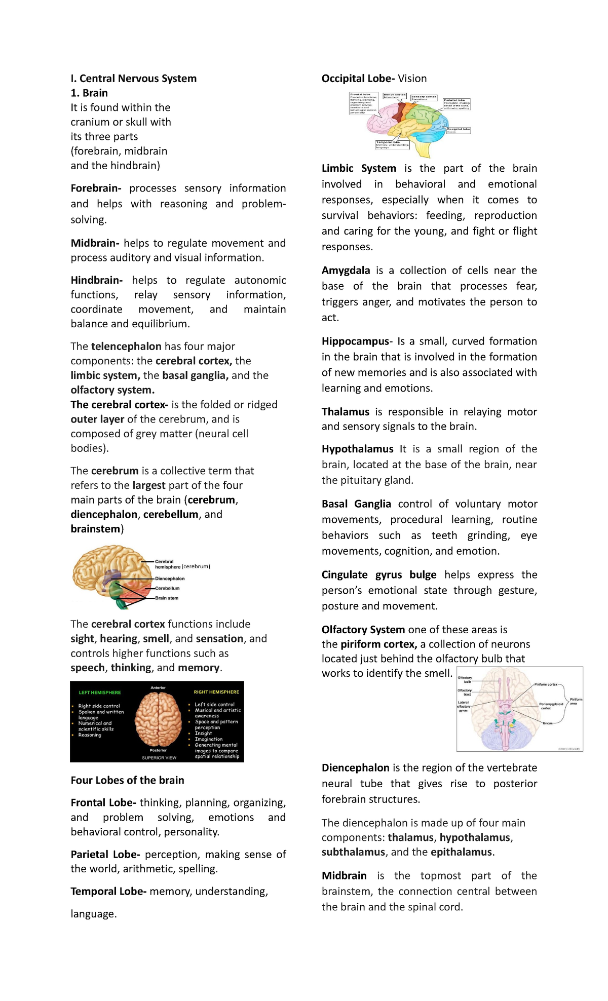Reviewer (Nervous System) - I. Central Nervous System Brain It is found within the cranium or ...