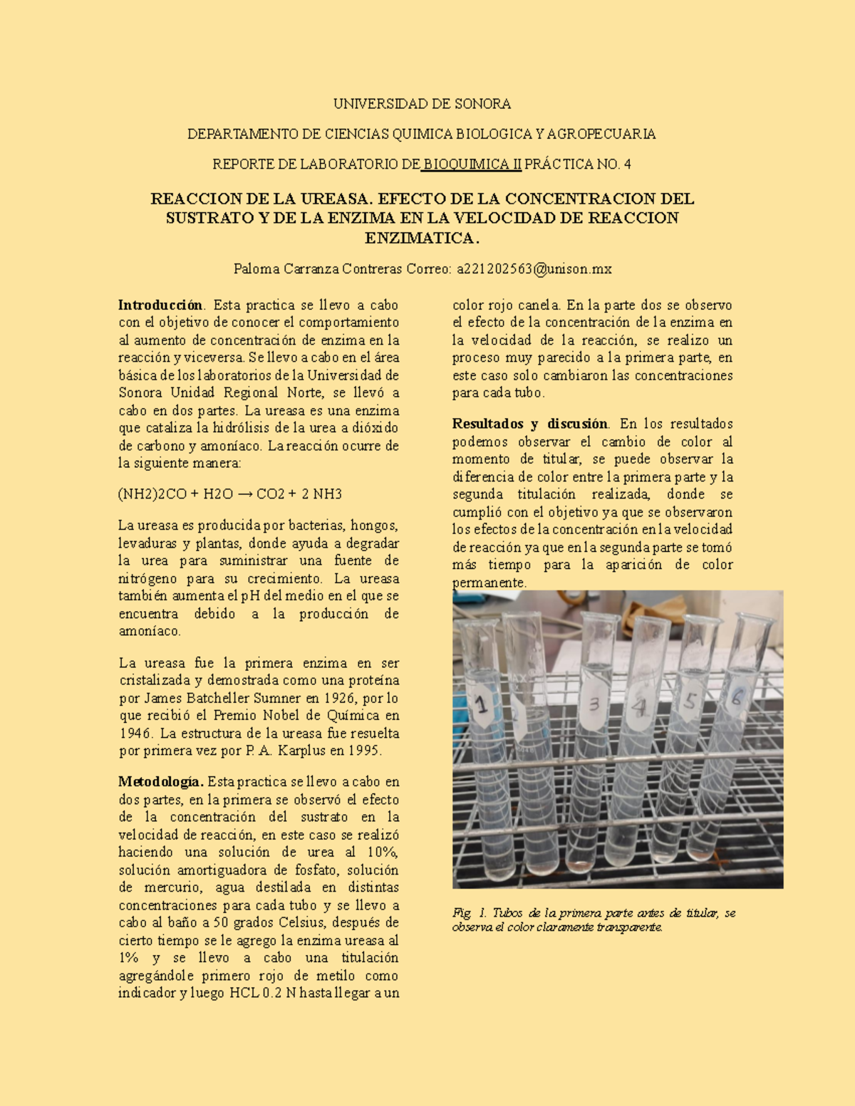 Reporte Bioquimica Reaccion de la Ureasa - UNIVERSIDAD DE SONORA ...