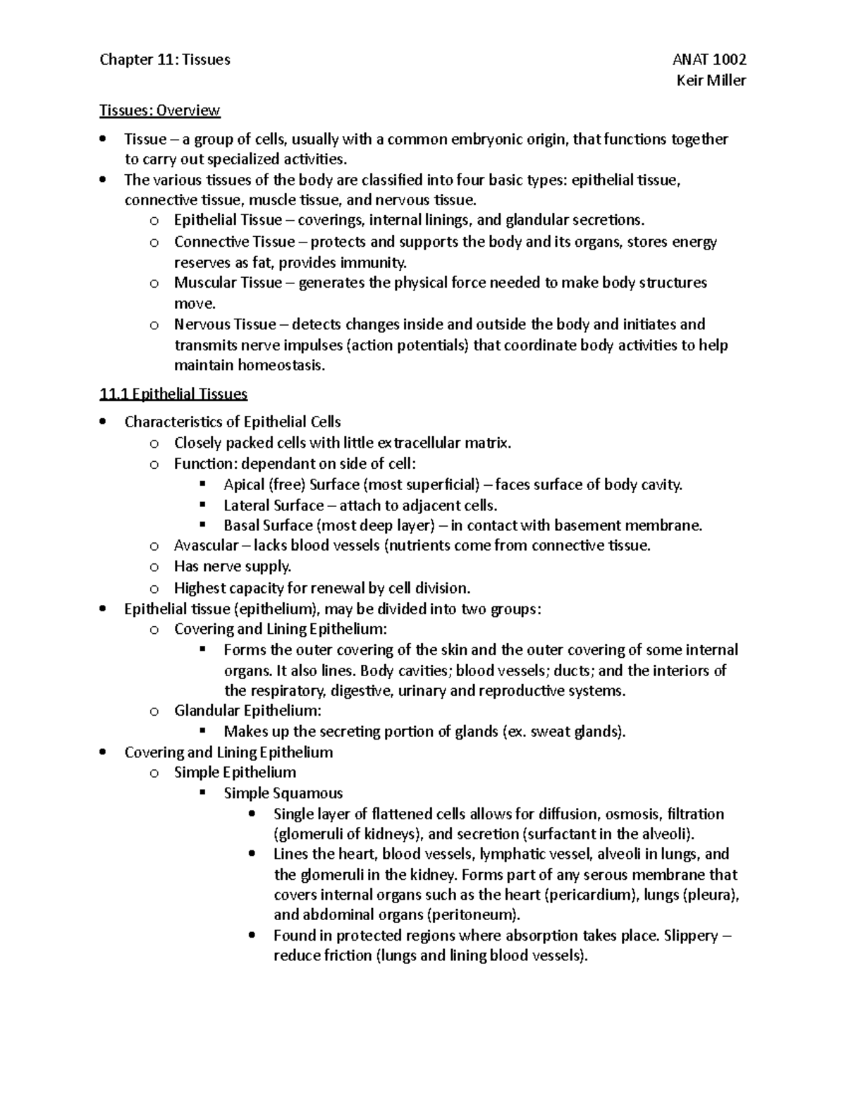 Chapter 11 Notes: Overview of Body Tissues (BIO 101) - Studocu