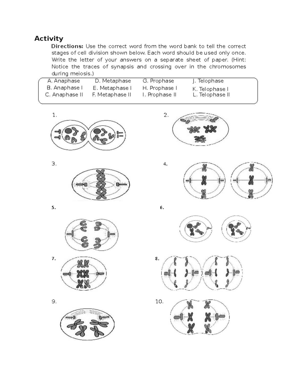 Cell Division Activity: Stages of Cellular Reproduction Analysis - Studocu