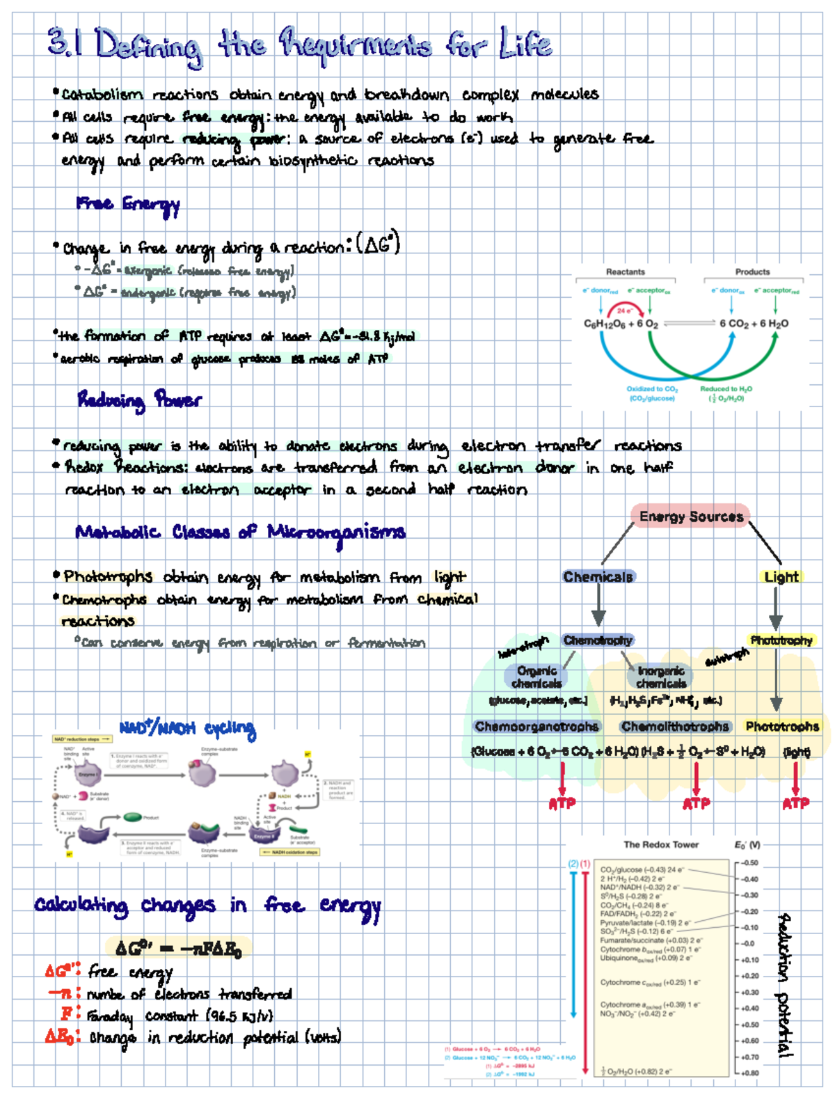 Chapters 3 lecture note - 33 I Defining the Requirements for Life ...