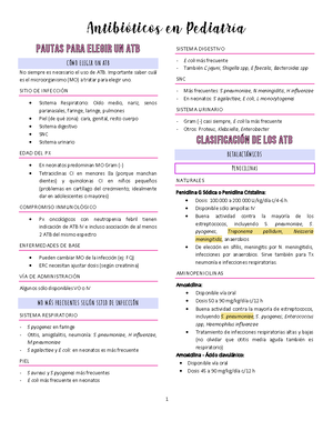 Pals 2020-2025 - versión en español - 2020 2025 Directrices y ...