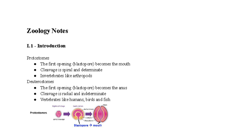 Zoology L1-L5 Lecture Notes: Introduction to Animal Diversity and ...