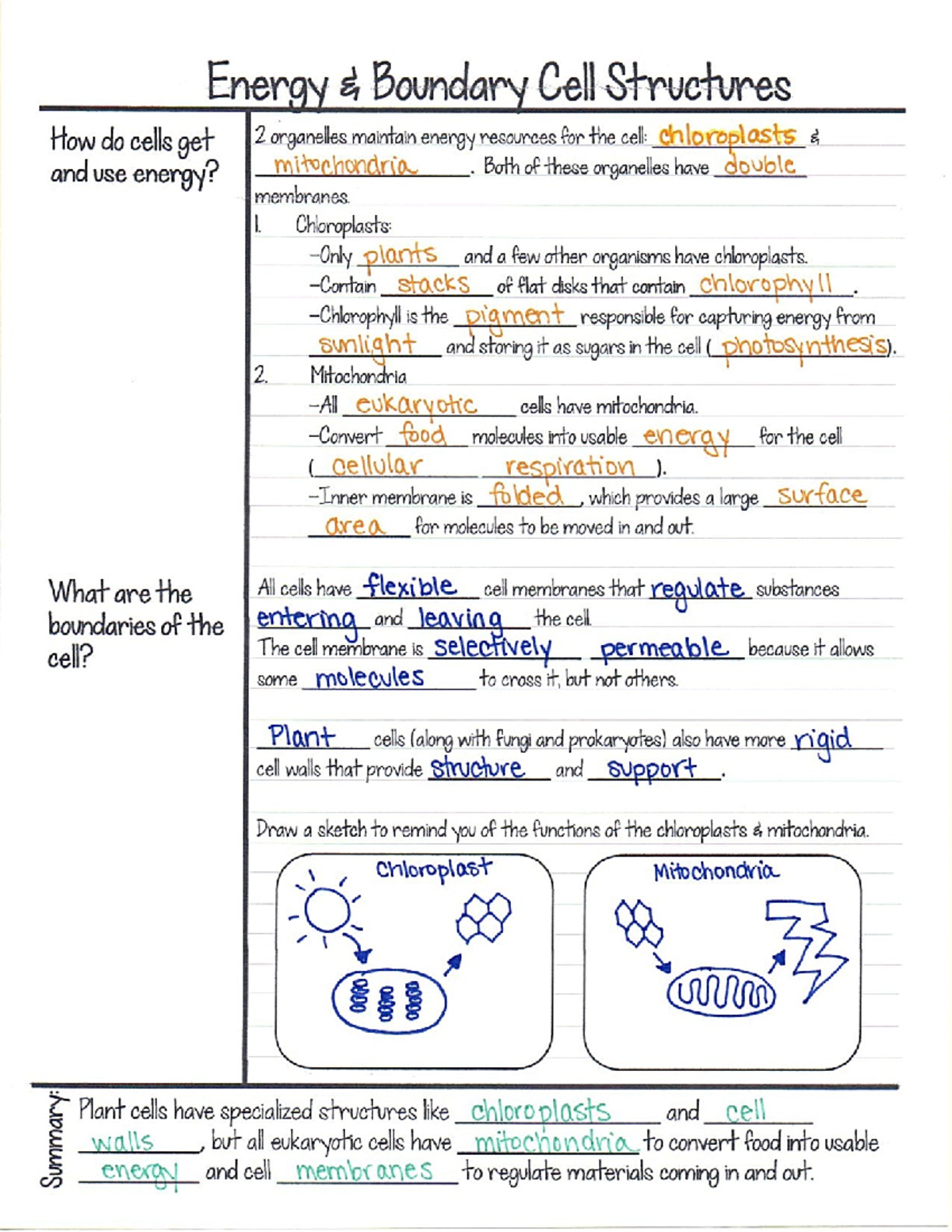 Final Exam Study Guide for Course XYZ: Energy in Cells - Studocu