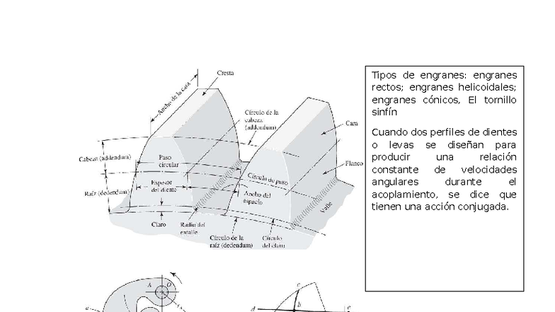 Tipos de Engranes y Diseño de Elementos - Resumen - Studocu