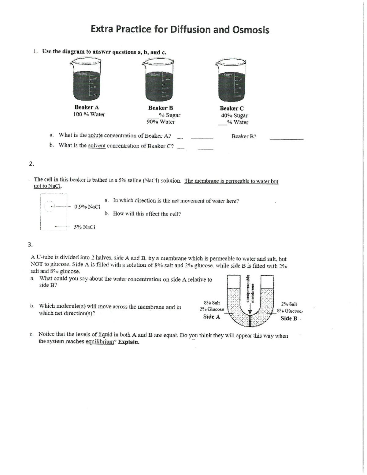 Diffusion and Osmosis Extra Practice Questions - Studocu