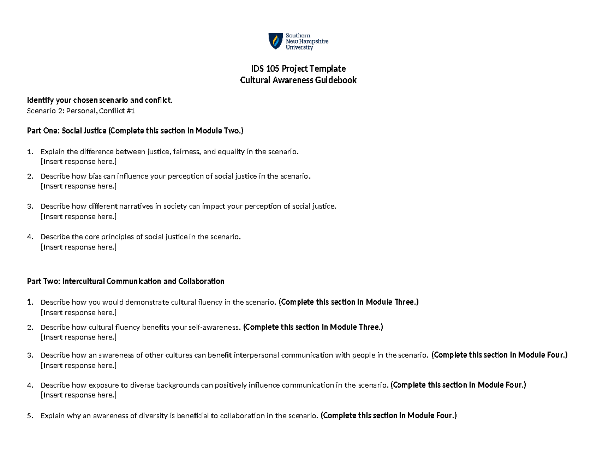 IDS 105 Project Template: Cultural Awareness & Communication Strategies ...