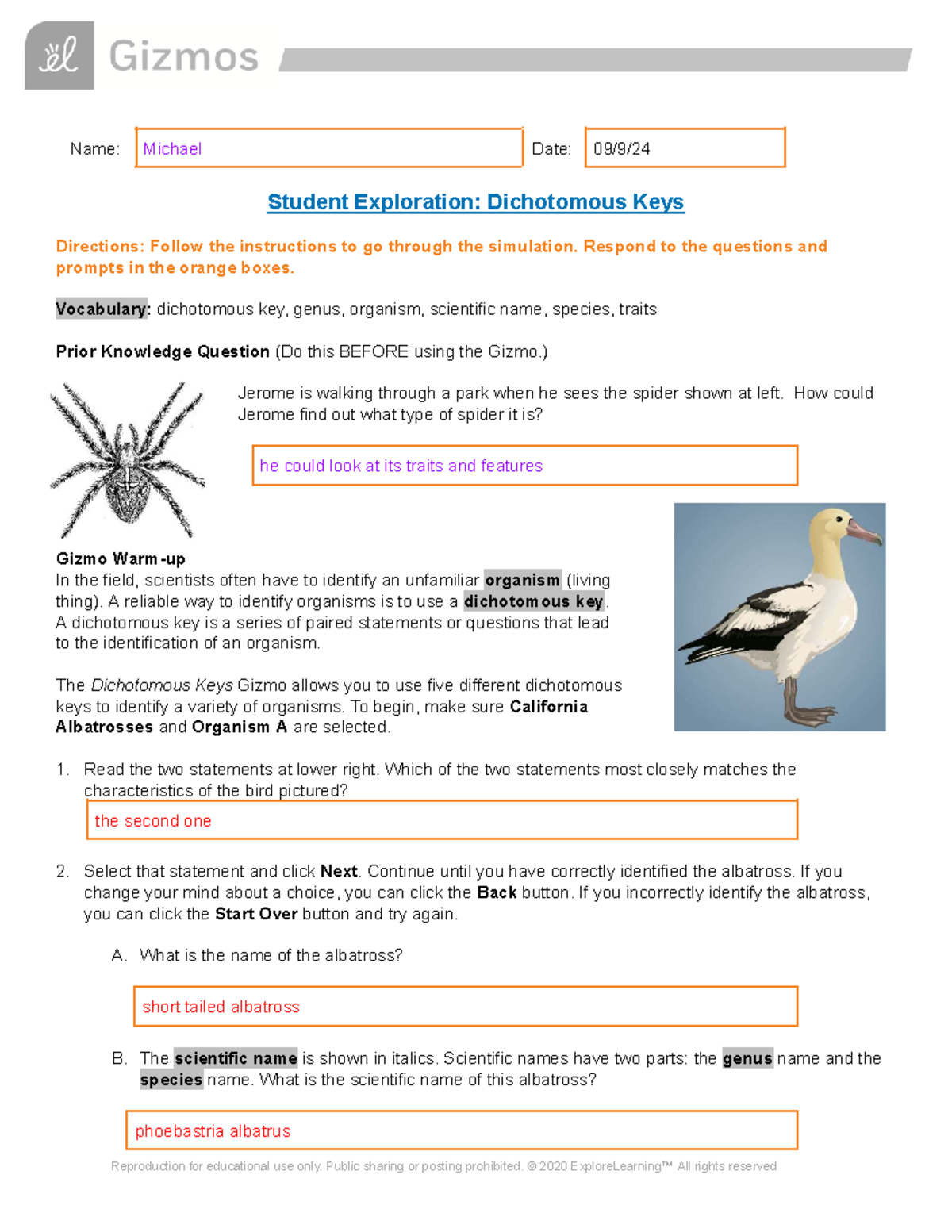 Dichotomous Key Exploration: Identifying Organisms with Gizmo 11111 ...