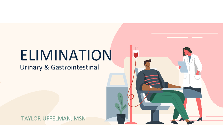 Elimination Study Guide: Urinary & Gastrointestinal Assessment and ...
