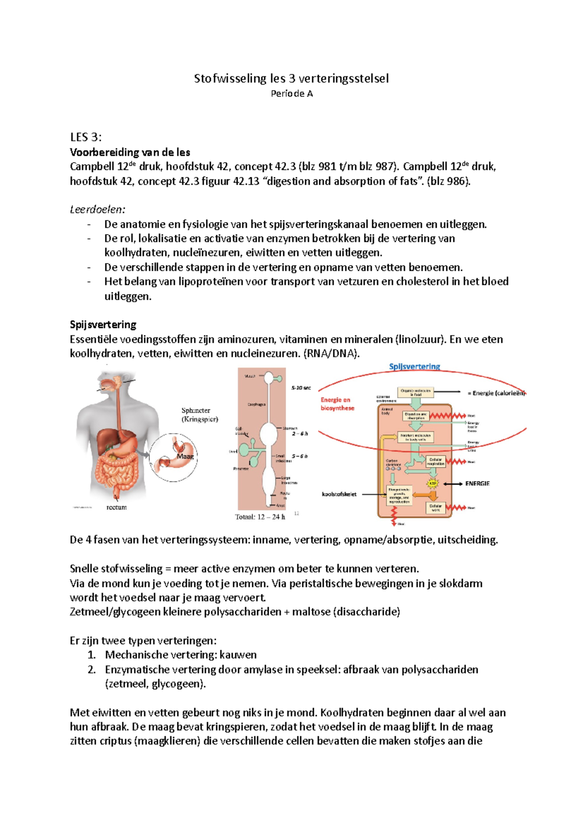 Stofwisseling Les 3: Verteringsstelsel en Functies van Enzymen ...