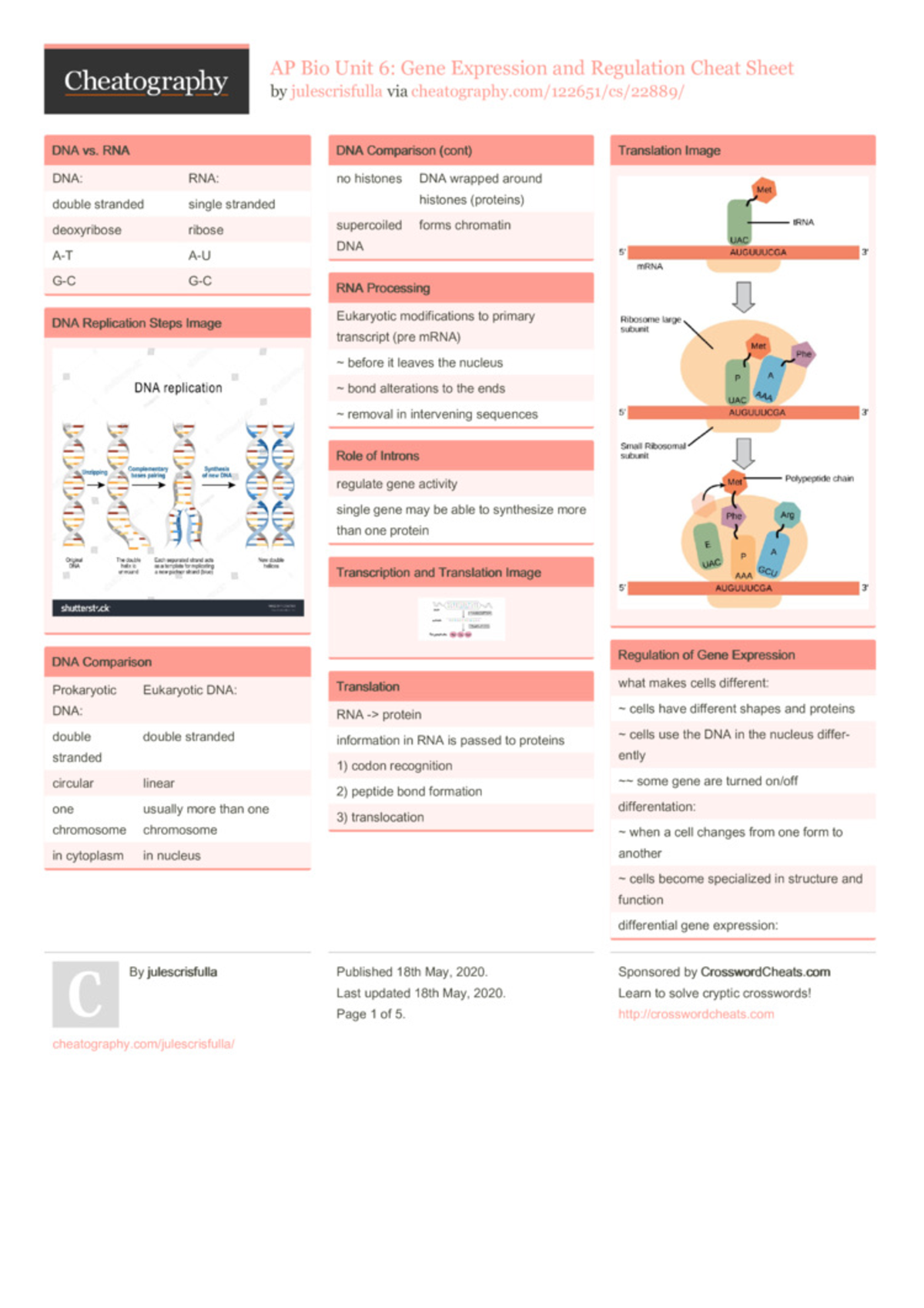 AP Bio Unit 6: Gene Expression and Regulation Notes - Studocu