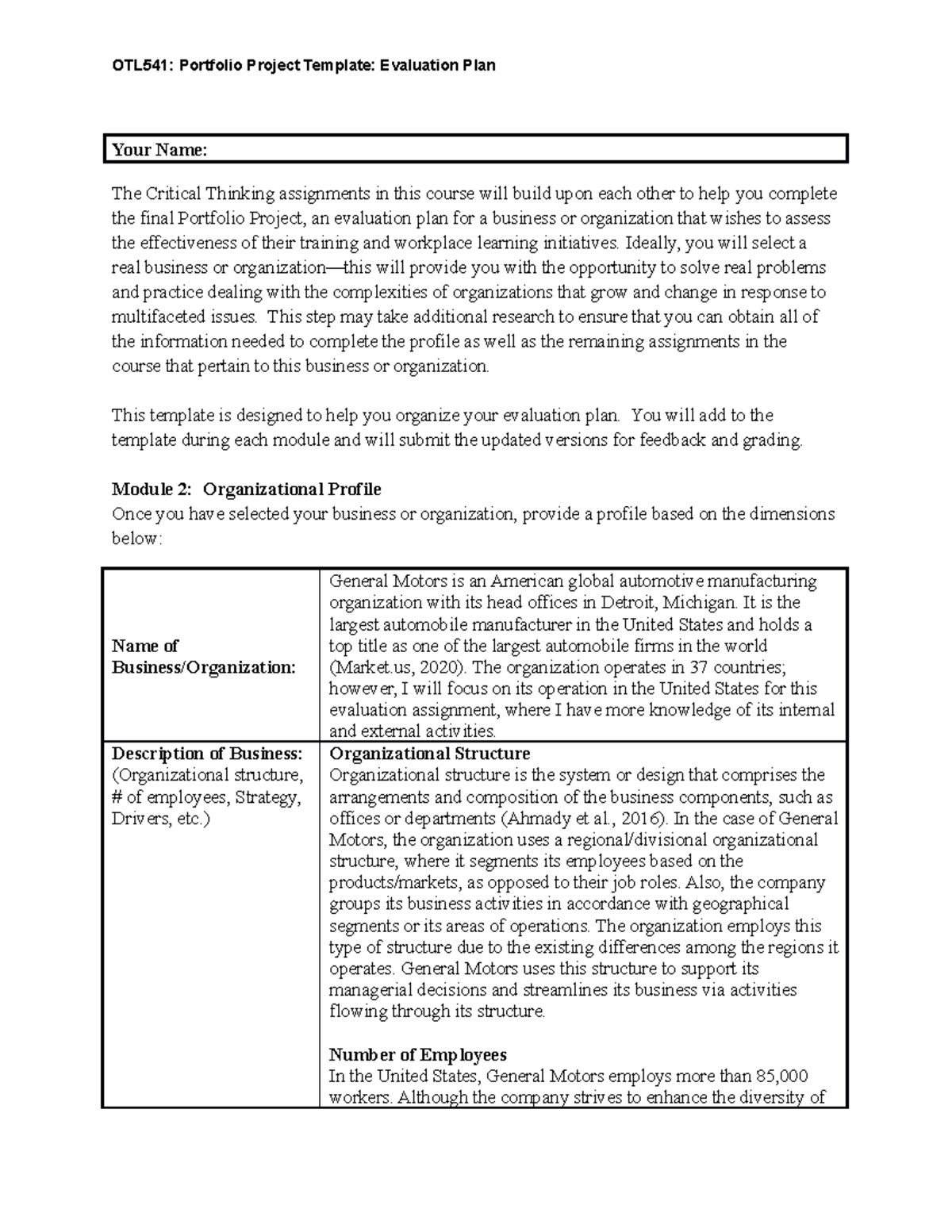 OTL541 Final Portfolio Project Template for Organizational Evaluation ...