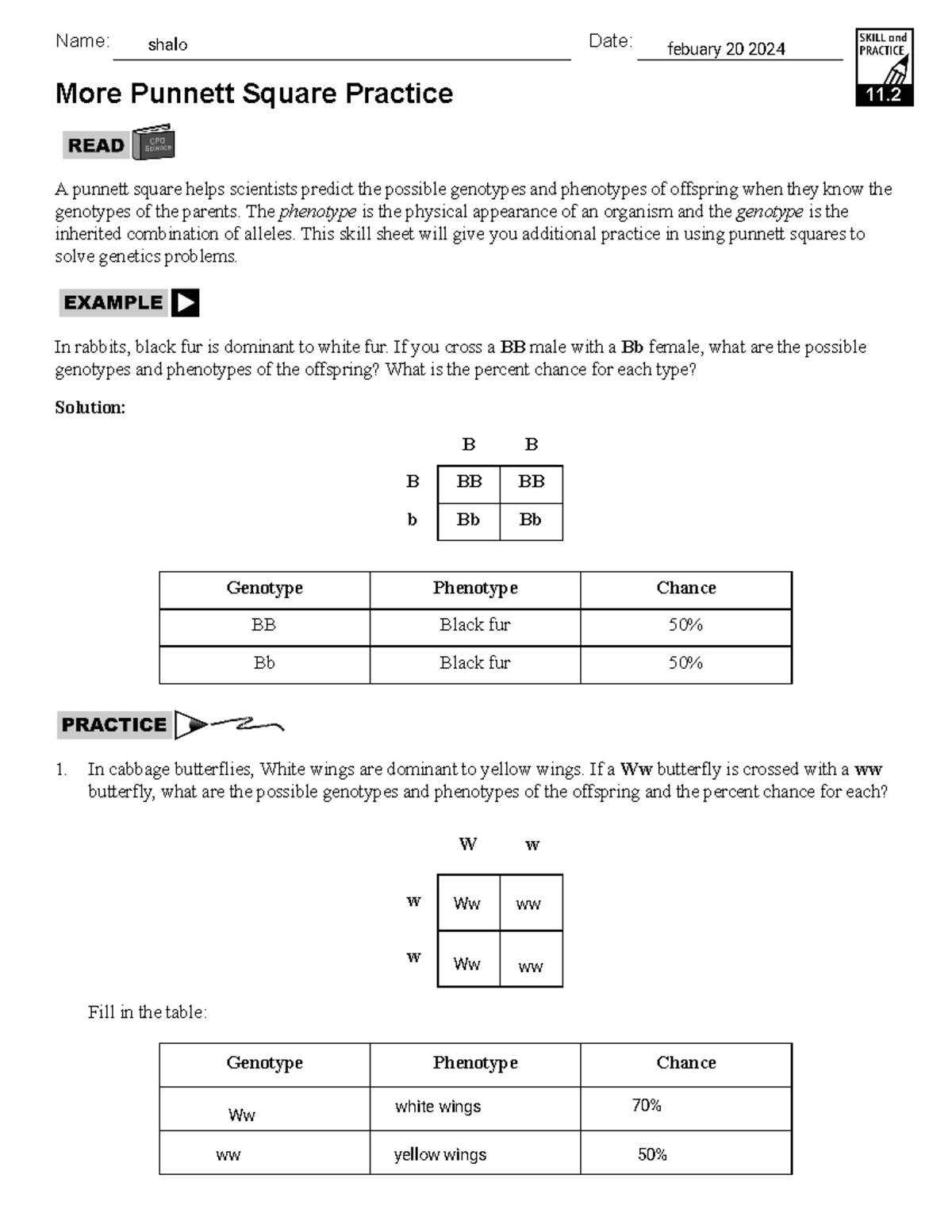 Biology 101 - Punnett Square Practice Worksheets & Solutions - Studocu