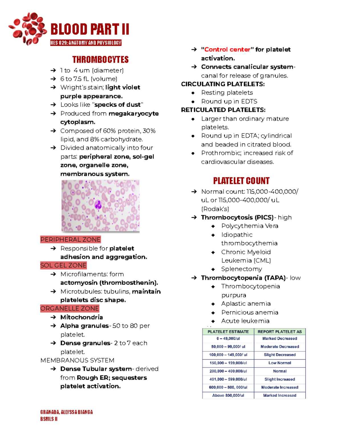 Lecture in Blood part 2 - ####### HES 029: ANATOMY AND PHYSIOLOGY ...