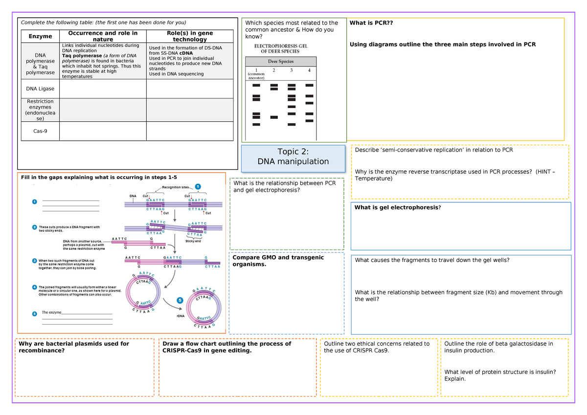 DNA Manipulation Summary Sheet: Key Concepts & Techniques - Studocu
