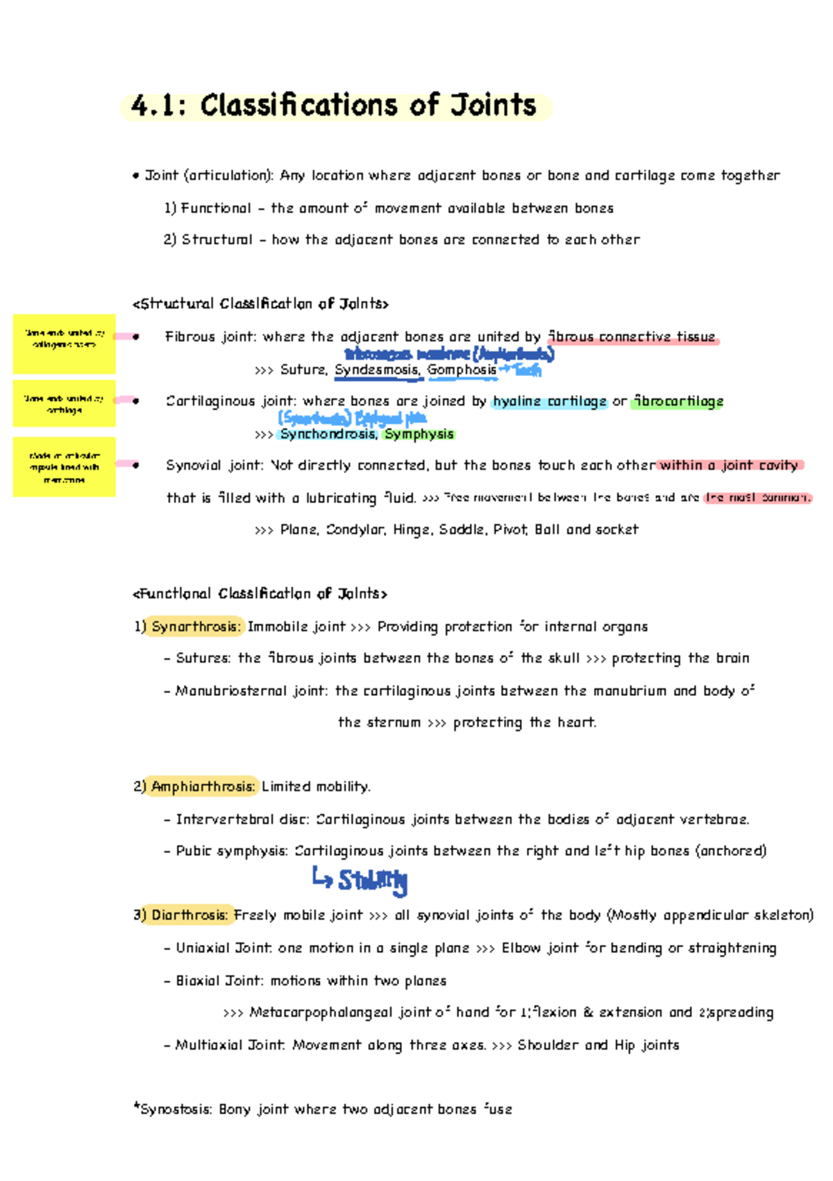 A&P1 Chapter 4: Classifications of Joints and Their Functions - Studocu