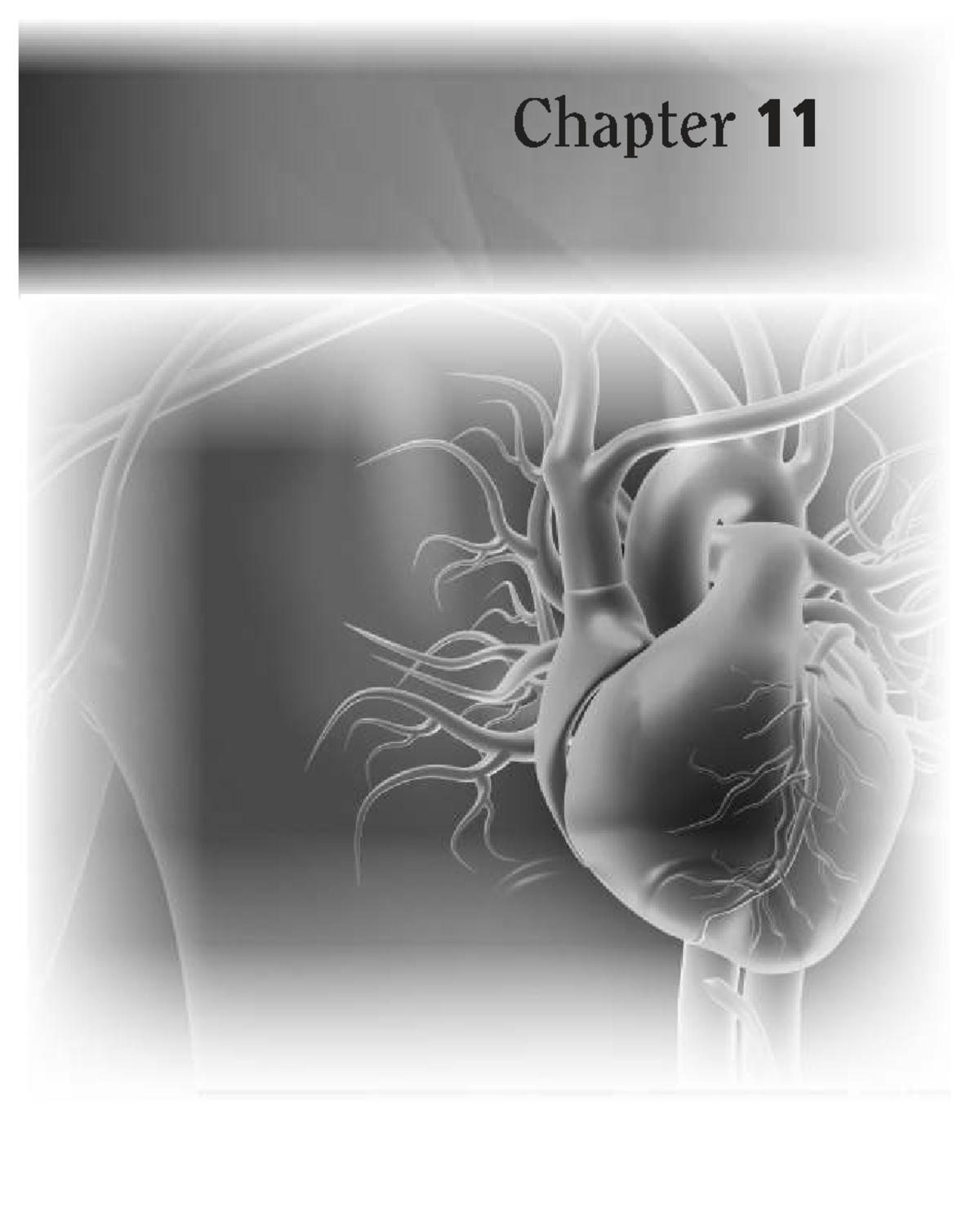 Chapter 11 Multiple Choice Quiz and Vocabulary Review - Studocu