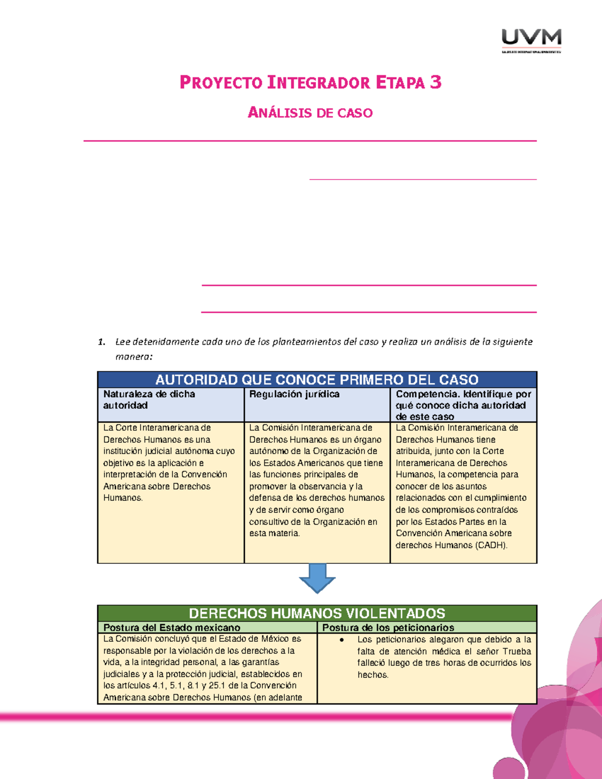Proyecto integrador etapa 3 Derechos Humanos - PROYECTO INTEGRADOR ETAPA 3 ANÁLISIS DE CASO 1 ...