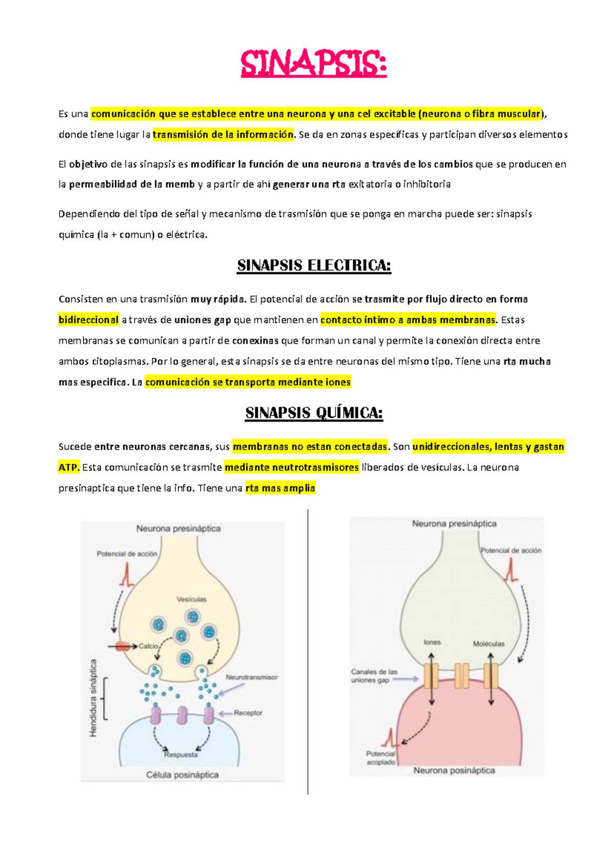 2. Sinapsis: Resúmenes, Bibliografía y Videos de Clase (Cátedra) - Studocu
