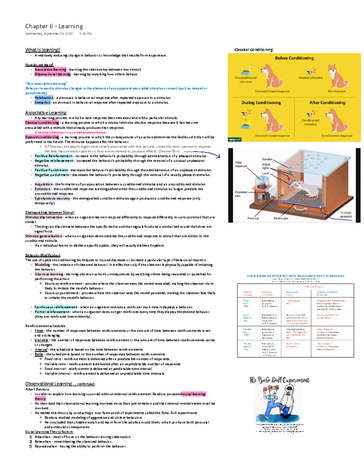 Chapter 6 - Learning - What is learning? A relatively enduring change ...