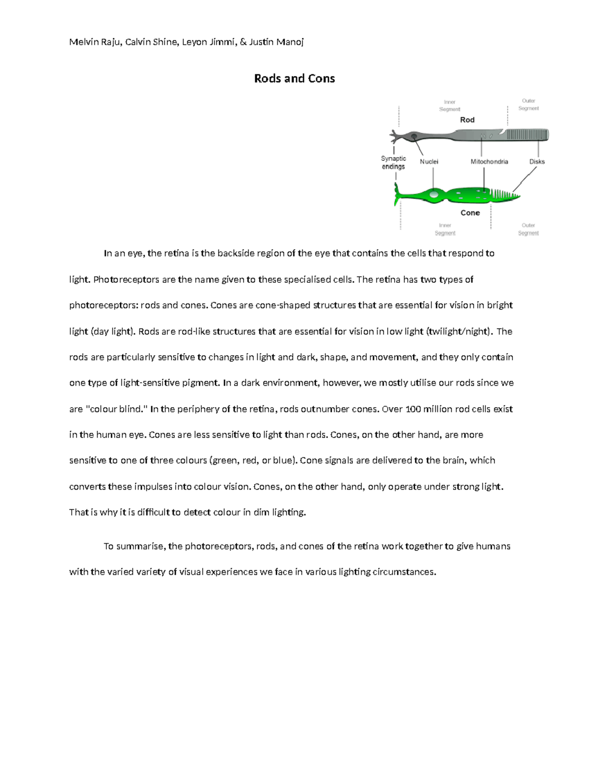 Rods and Cons assignment - Melvin Raju, Calvin Shine, Leyon Jimmi ...