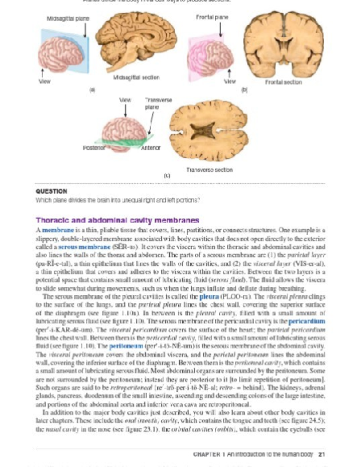 Lab Readings 02: Body Cavities and Serous Membranes Overview - Studocu