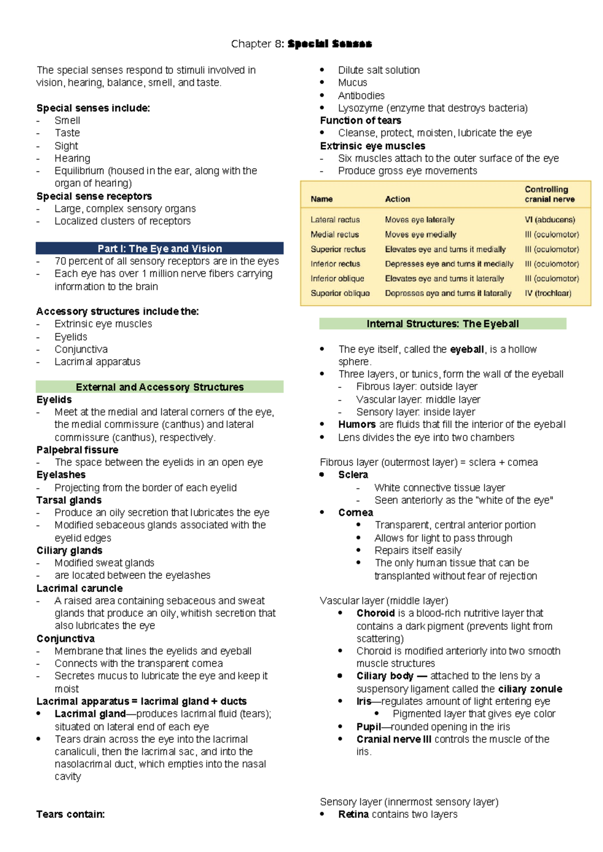 BSC- Chapter 8 - Special Senses: Eye, Ear, Smell & Taste - Studocu