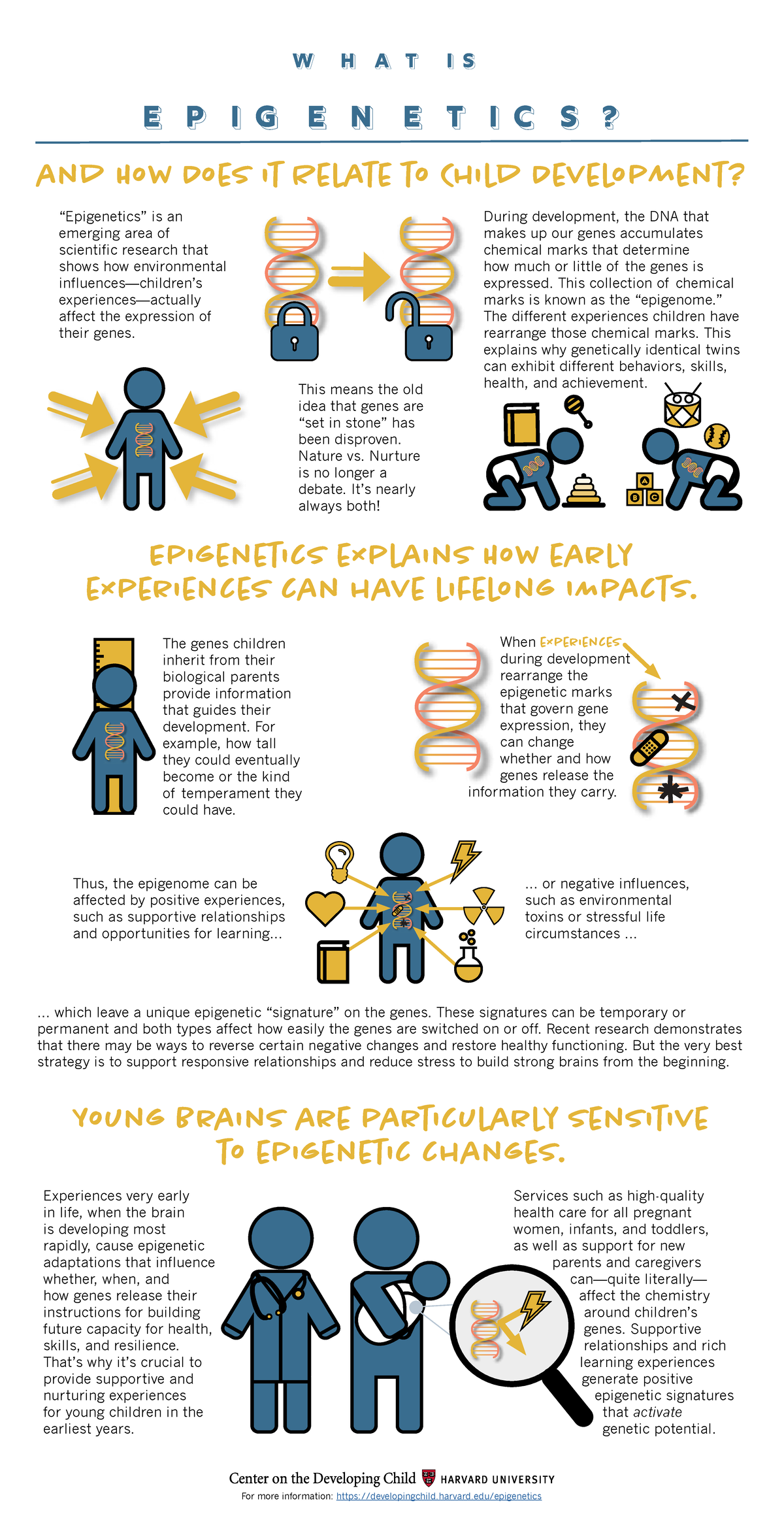 Epigenetics and Child Development: Understanding Gene Expression Impact ...