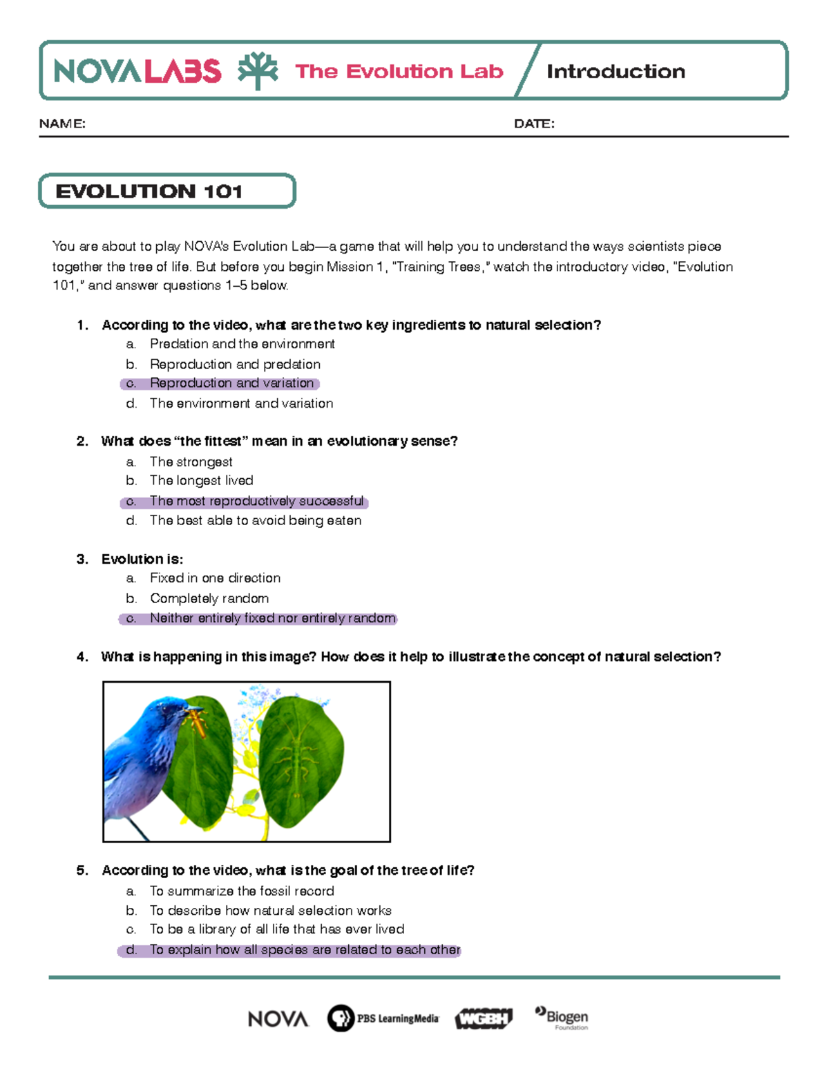 NOVA Evolution Lab: Evolution 101 & Missions 1-6 Study Guide - Studocu